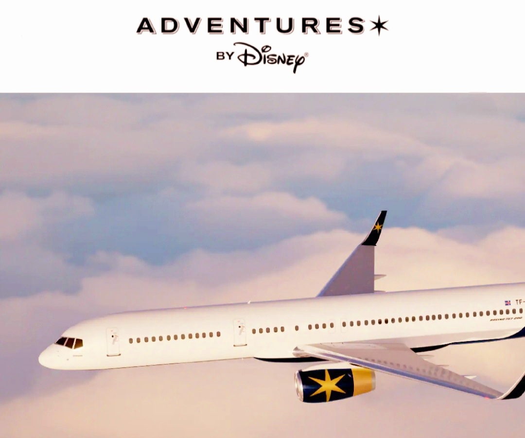 Disney Parks Around The World – A Private Jet Adventure – Adventures By ...
